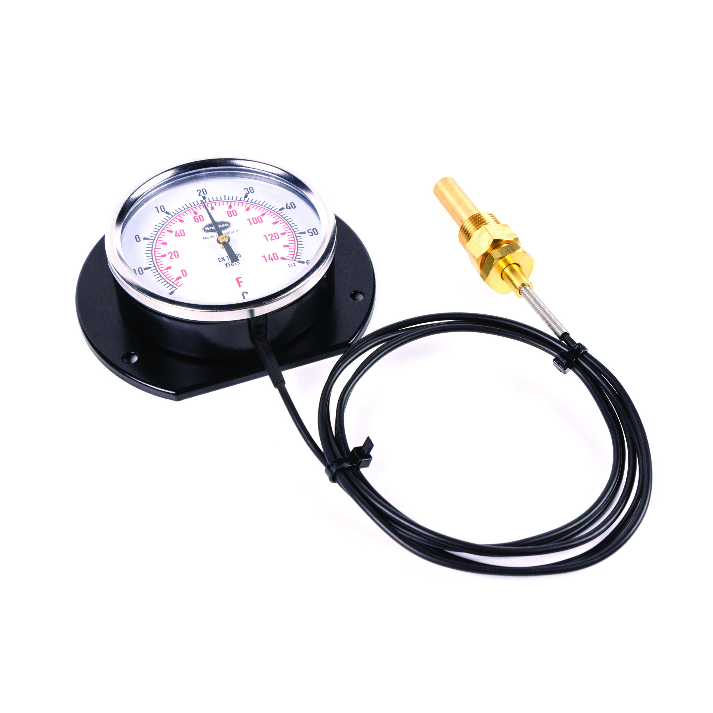 Commercial remote reading dial thermometer | Brannan