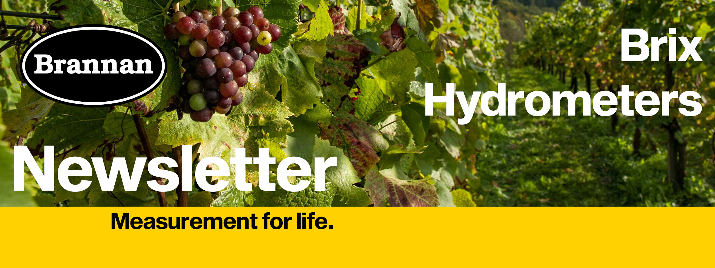 Newsletter - Brix Hydrometers | Brannan